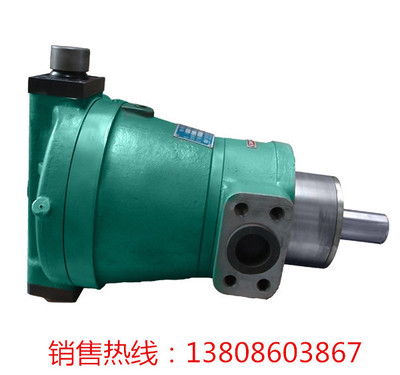 德国HAWE哈威柱塞泵V80M-200RDGN-1-1-XX/NB-2-400C319-Z05