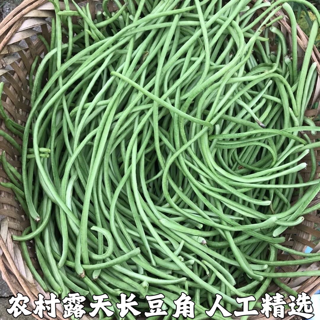 新鲜豇豆长豆角嫩姜豆角豆挂豆角长豇豆酸豆角原材料农家自种包邮