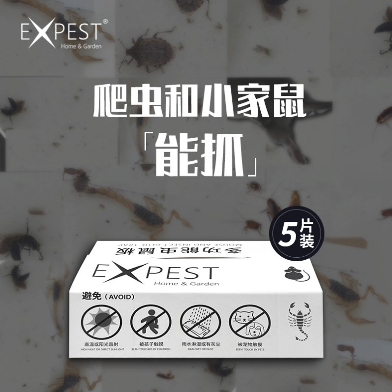 EXPEST蟑螂捕捉贴 室内爬虫捕捉黏板 蜘蛛蜈蚣黏捕贴纸 虫鼠害黏