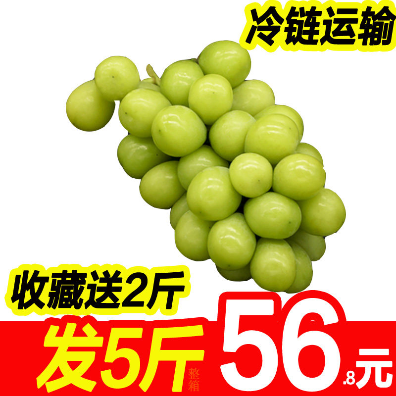 阳光玫瑰葡萄香印青提子青葡萄水果青提净4斤新鲜水果当季晴王