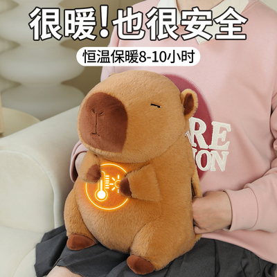热水袋暖手脚充电款防爆可爱毛绒