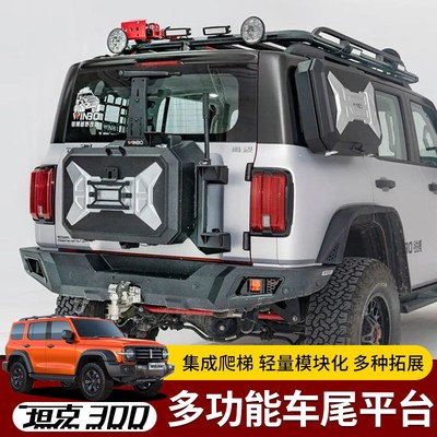 坦克300c尾门平台备胎支架后小书包爬梯旗杆架牌照灯架集成组配件