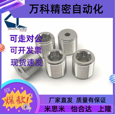 LVWM/LVFWM12/16/20/24/30-10/15/20/25/30/35/40 镀镍调整螺丝