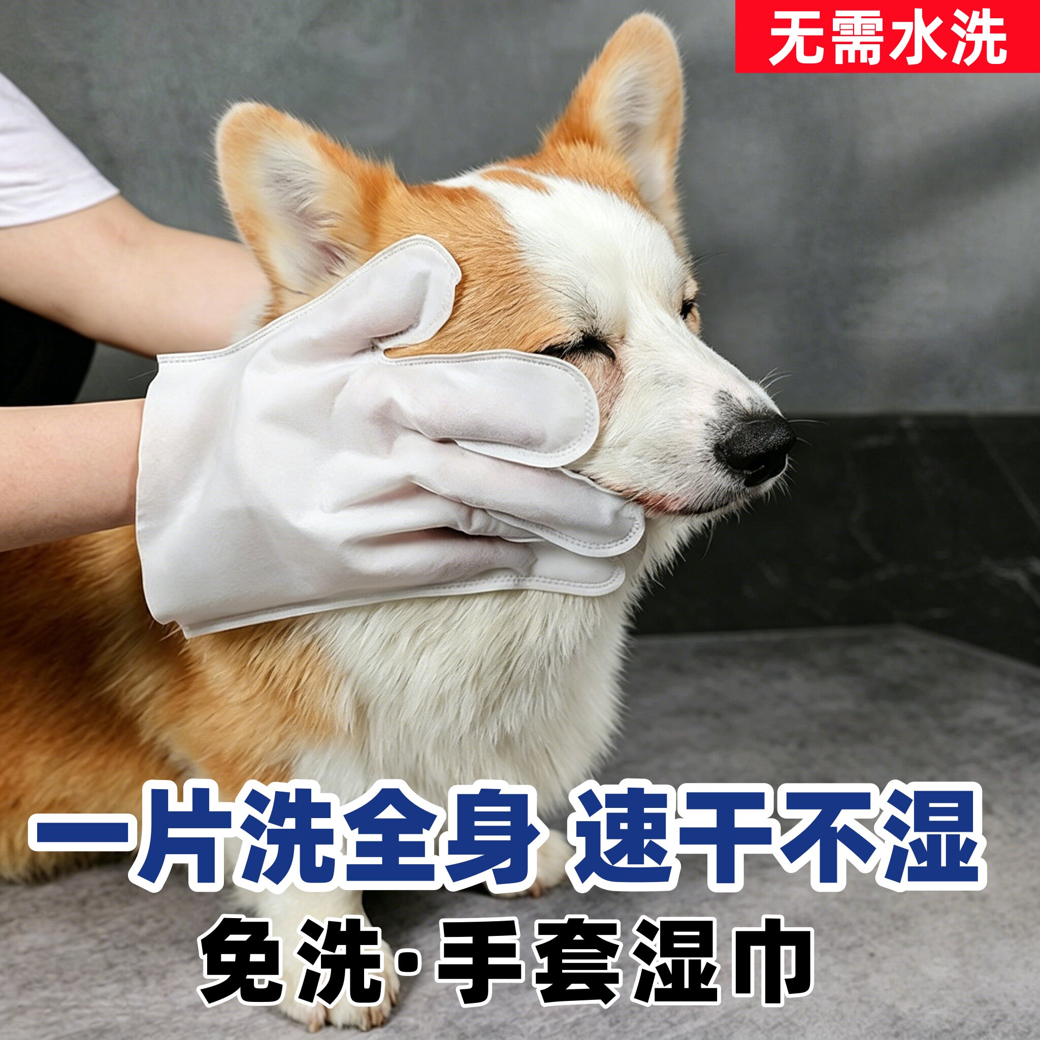 宠物免洗清洁手套猫狗通用撸猫撸狗擦拭去污日常洗护可携式打理用