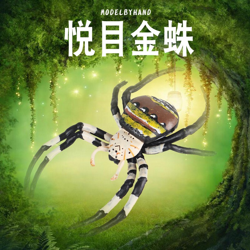 林畅模玩昆虫玩具悦目金蛛模型仿真蜘蛛套装圆蛛科动物儿童认知