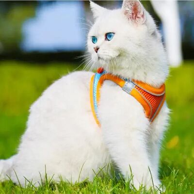 XXXS-L Reflective Pet Harness Dogs Strap with Leash Adjustab