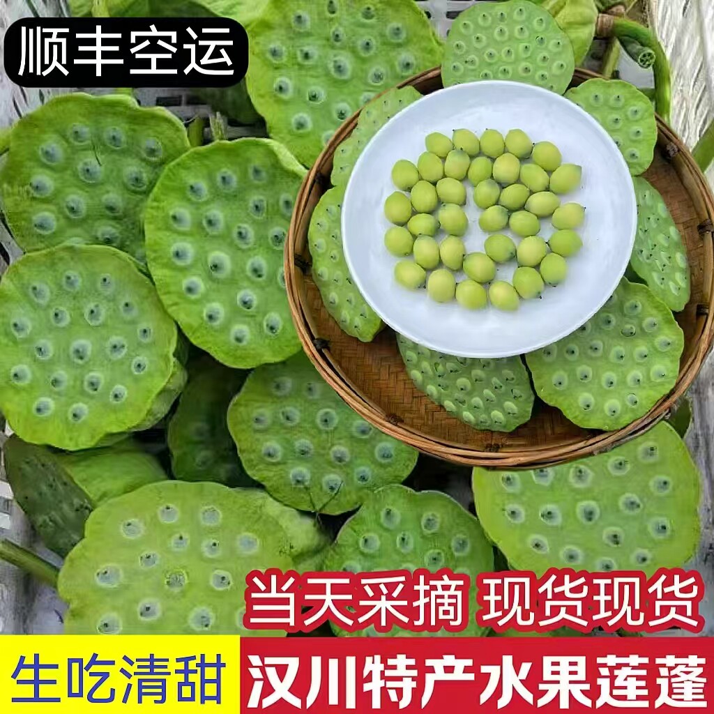 顺丰空运汉川新鲜采摘莲蓬头太空莲现摘生吃水果莲嫩莲蓬莲子米
