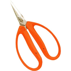 CHIKAMASA近正业用剪K-601EX深圳杉本有售