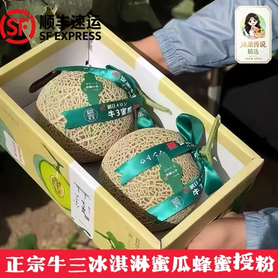现货新鲜牛三玫珑瓜蜜瓜