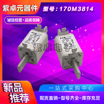 170M3814170M3815170M3816170M3817170M3818170M3819熔断器