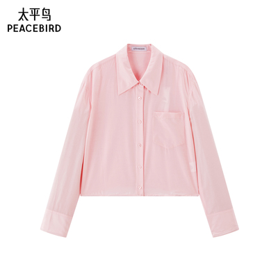 太平鸟女装冬季简约通勤衬衫A1CAF241S