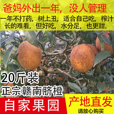 20斤赣南脐橙赣南脐橙