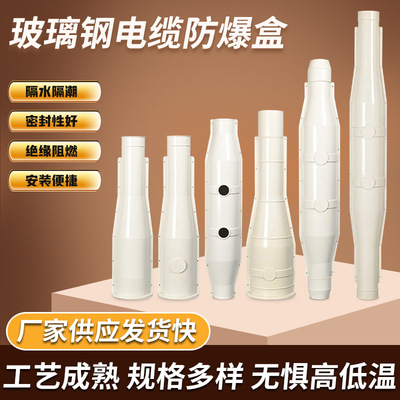 高压接线防爆盒电缆中端接口紧固中间接头灌胶防护接线盒隔水阻燃