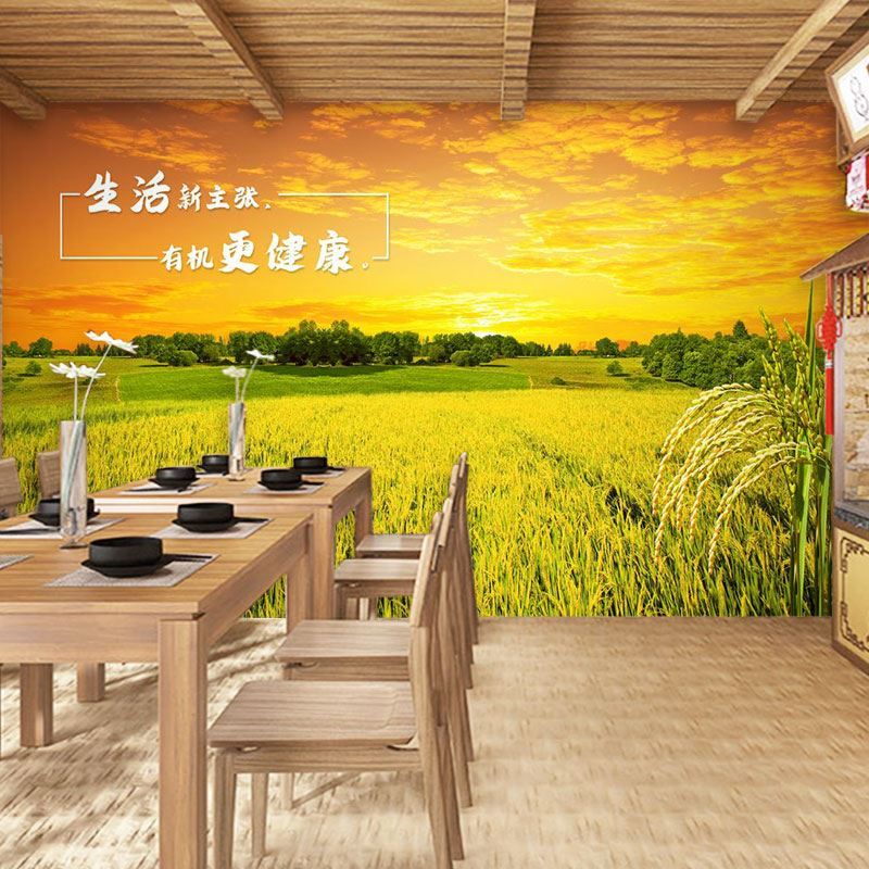 生态水稻高原梯田稻穗大米背景粮油店壁纸餐厅饭店农家乐装修墙纸