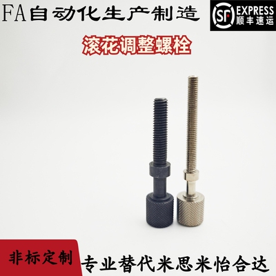 滚花调整螺栓TBD78/AJKTNF/PAZ41-D3 4 5 6 8 10 12 16-L10 15 20