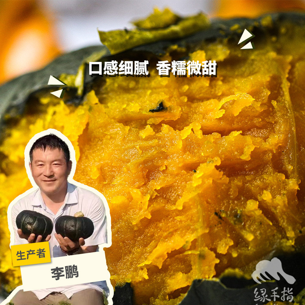 有机贝贝南瓜 4.8斤 河南 绿手指份额农园