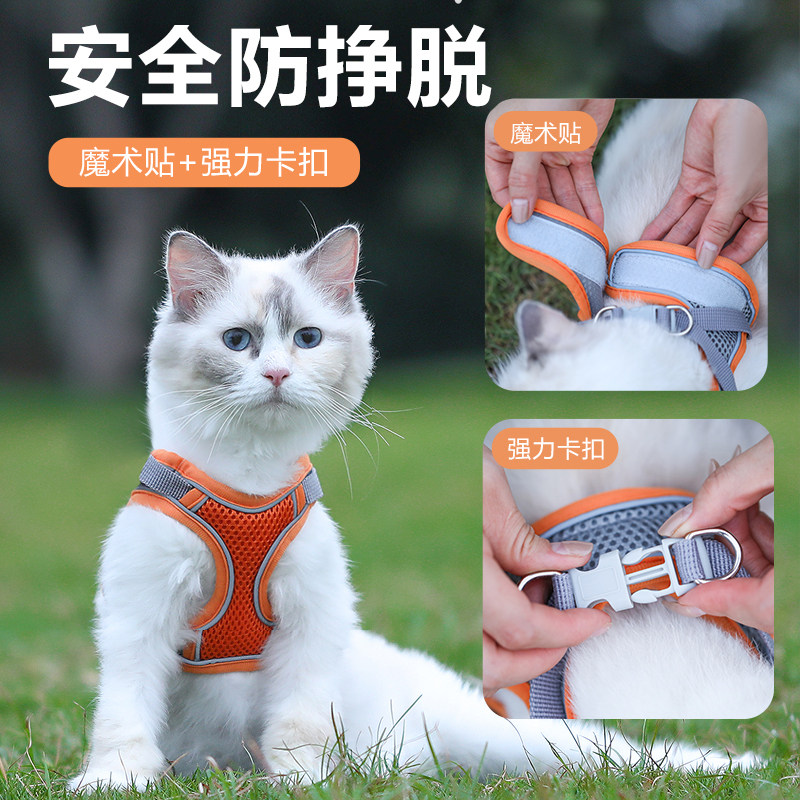猫咪牵引绳防挣脱外出专用透气胸背牵引绳春夏外出背心式溜猫神器