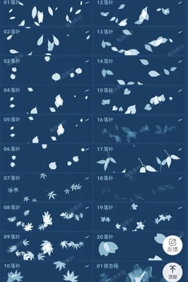 ps笔刷procreate笔刷枫叶银杏叶秋天落叶飘落树叶子散落风景绘画