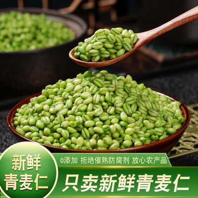 5斤包邮新鲜青麦仁鲜嫩小麦仁麦穗五谷杂粮营养煮粥鲜绿粗粮麦粒