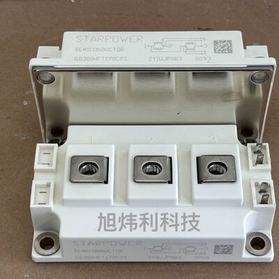 GD300HFL170C2S     GD300HFT170