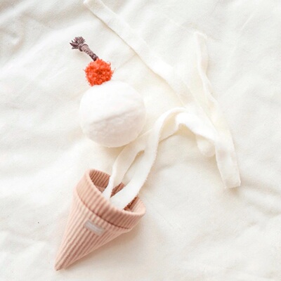 ICE CREAM POP冰淇淋｜藏食嗅闻｜益智互动
