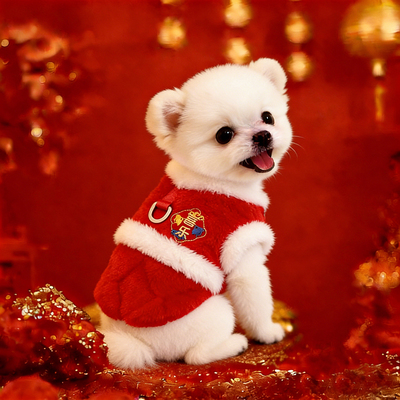 狗狗衣服小型犬冬天厚款保暖带牵引环红色加绒比熊拜年喜庆两脚衣