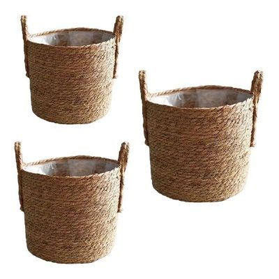 FlowerBasketPnCiDecve