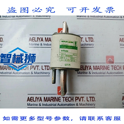 原装供应 MERLIN RIN 783632A 轿跑车电路三保险丝
