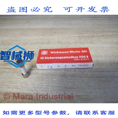 原装供应 WICKMANN-WERKE 19.200 保险丝 DIN 41571（每包 30 个
