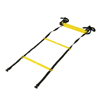 装备固定式协调性足球训练