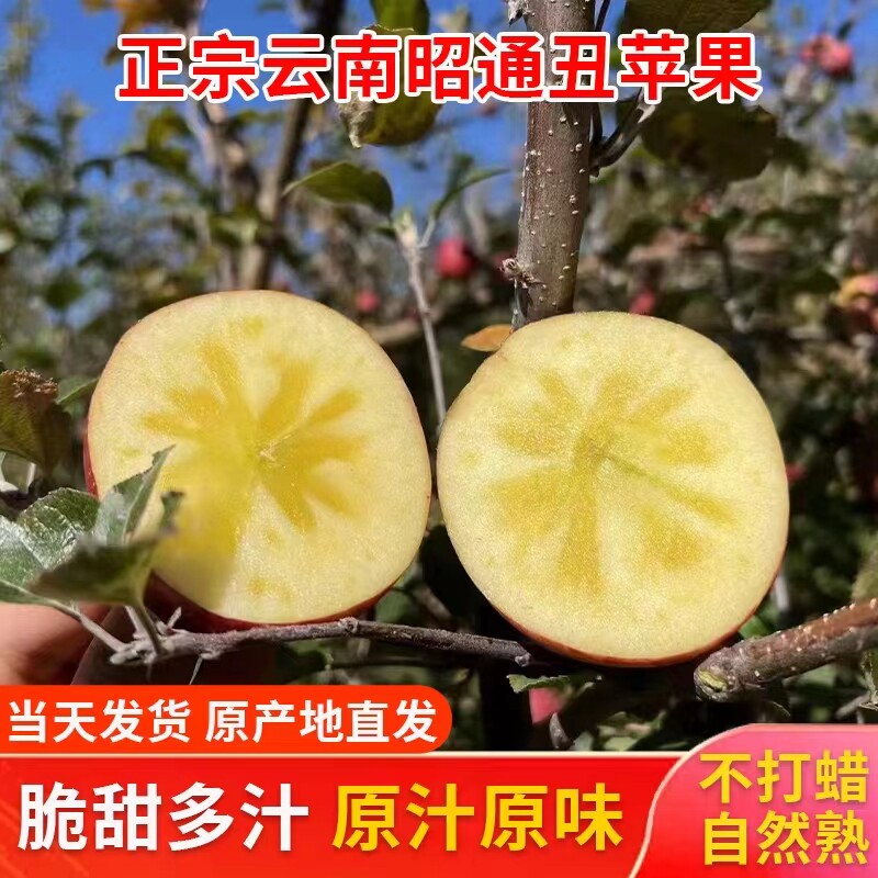 正宗云南昭通冰糖心红露红富士丑苹果脆甜应季新鲜水果现摘现发