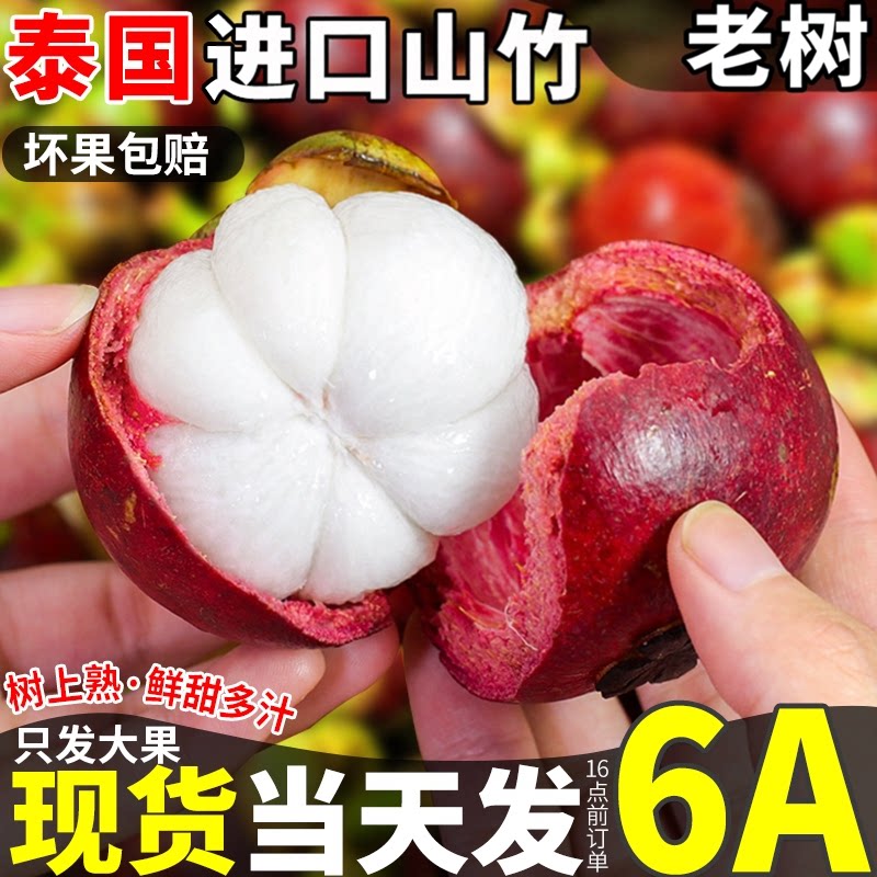 现货10斤泰国进口山竹新鲜包邮大果孕妇水果一级油麻竹6A整箱