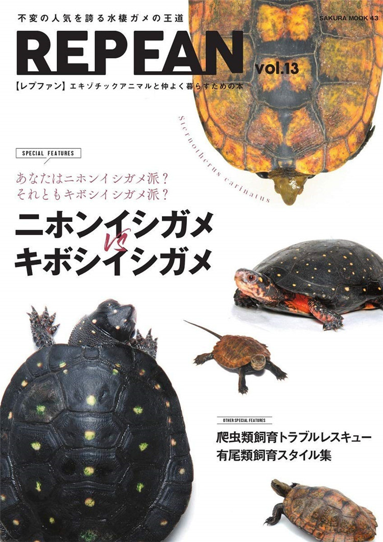 预售 爬虫類 長く健康に生きる餌やりガイド 21 安川 雄一郎 グラフィック社 进口原版