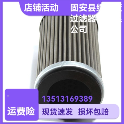EPE D-68775 Ketsch 20.165 G25-S00-4-P液压油过滤器滤芯