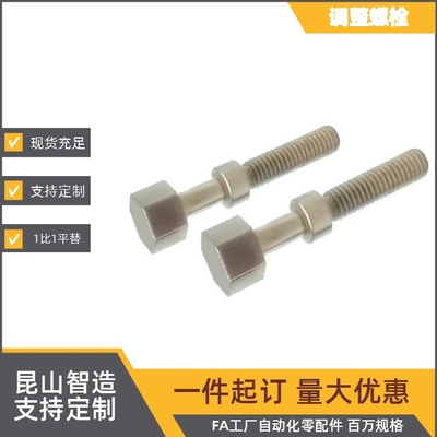 PAY02标准型粗牙调整螺栓AJSTM