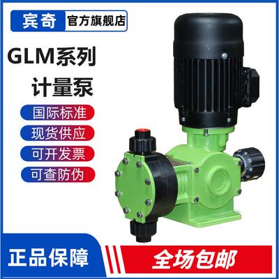 PULSAFEEDER泵帕斯菲达GLM DM2型机械隔膜计量泵 水处理泵 加厚膜