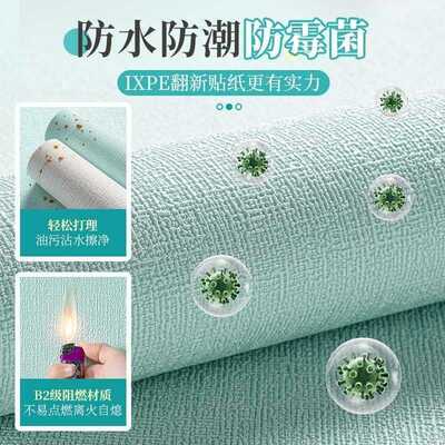 Wallpaper home living room decor selfadhesive wall sticker