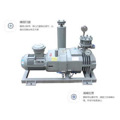 贝乐RLP干式螺杆真空泵低噪音气体传输泵工业高转速电动抽气泵