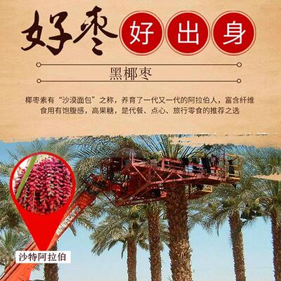 进口香甜饱满Natural dates个大核小阿吉哇肉厚甜糯Black date