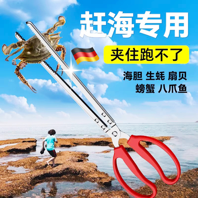 赶海工具夹子黄鳝鱼泥鳅螃