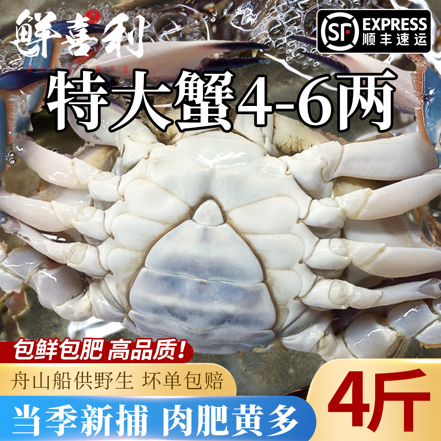 梭子蟹特大母蟹野生舟山大螃蟹新鲜冷冻蟹海飞蟹肉蟹白蟹海鲜顺丰