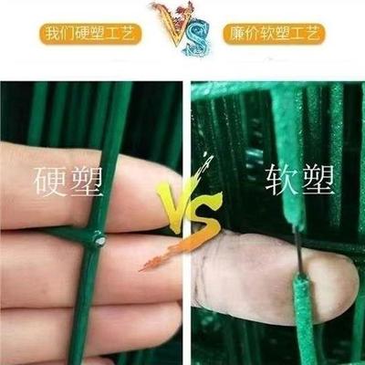 防锈耐用硬塑荷兰网塑料围栏网铁丝网养鸡网隔离栏围网养殖网护栏