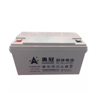 奥冠太阳能胶体蓄电池6-GFM-10012V100AH65AH150AH200AUPS光伏EPS