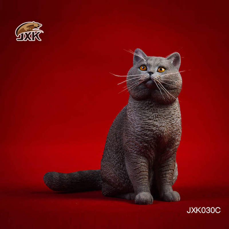 JXK1/6英国短毛猫/蓝猫 仿真猫咪模型可爱模玩手办玩偶可搭配兵人