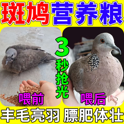 斑鸠专用饲料五色黍子玉米小颗粒粮食幼鸟换毛期等鸟类通用营养粮