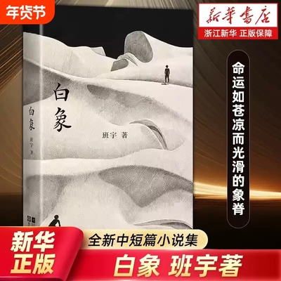 白象 班宇 中短篇小说集 收录飞鸟与地下狐及其友关河令清水心跳 冬泳逍遥游作者作品 现当代文学散文随笔 凤凰新华书店正版
