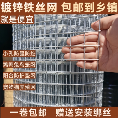 冷镀锌铁丝网钢丝网养鸡围栏