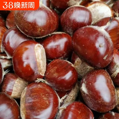 栗仟帆迁西生鲜板栗油栗