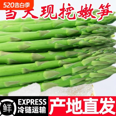 新鲜芦笋5斤芦笋产地直销现挖嫩青笋绿当季蔬菜龙须菜芦笋现挖