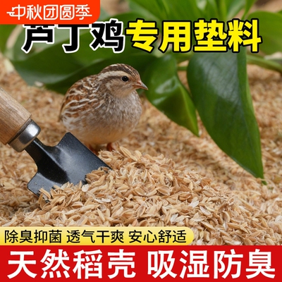 芦丁鸡专用稻壳垫料无尘专用